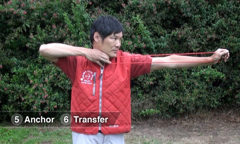 Olympic-Style Stretch Band Training Improves Your Archery – Golden Gate ...
